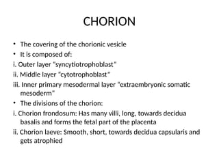 FETAL PERIOD IN HUMAN BEINGS; FETAL DEVELOPMENT | PPTX