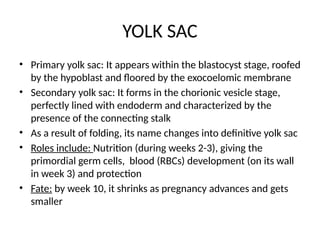 FETAL PERIOD IN HUMAN BEINGS; FETAL DEVELOPMENT | PPTX
