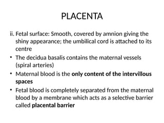 FETAL PERIOD IN HUMAN BEINGS; FETAL DEVELOPMENT | PPTX