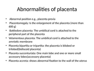FETAL PERIOD IN HUMAN BEINGS; FETAL DEVELOPMENT | PPTX