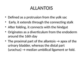 FETAL PERIOD IN HUMAN BEINGS; FETAL DEVELOPMENT | PPTX