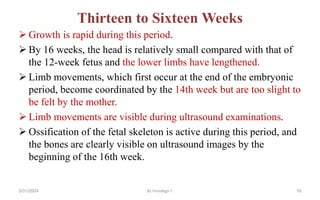 Fetal Period.pdfbvb.kjbk.jg.,mbfv.kbwmjvbkfb | PDF