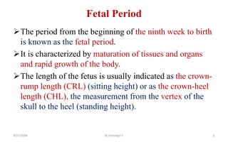 Fetal Period.pdfbvb.kjbk.jg.,mbfv.kbwmjvbkfb | PDF