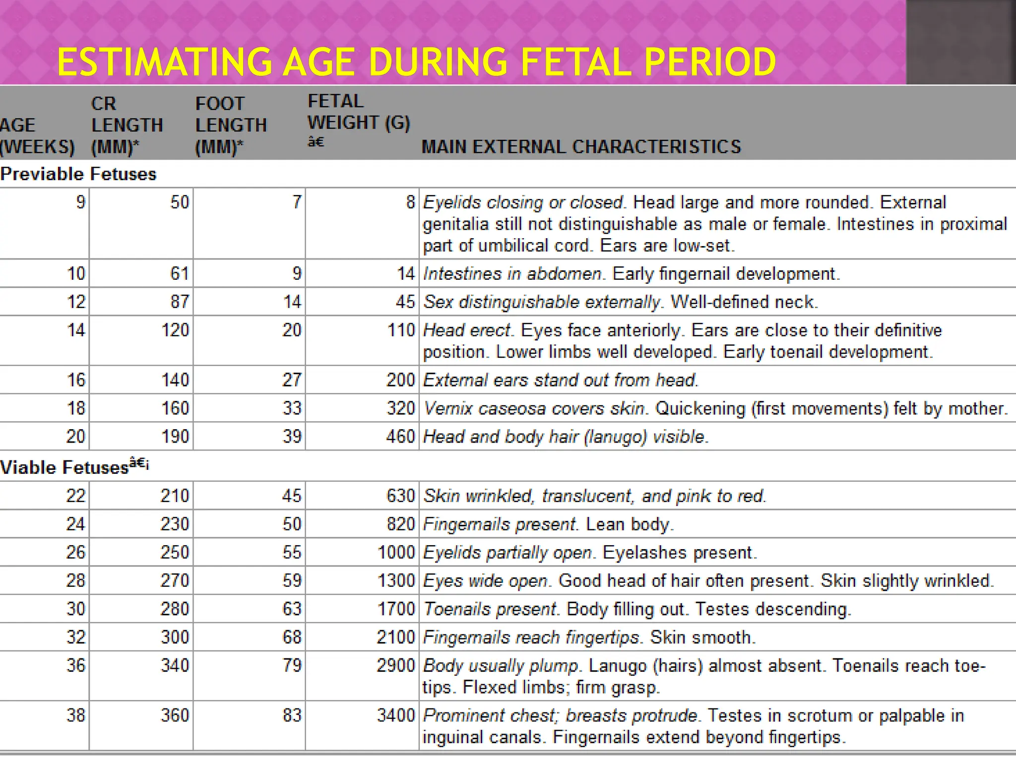 FETAL_PERIOD_AND_MEMBRANES(ANATOMY).pptx