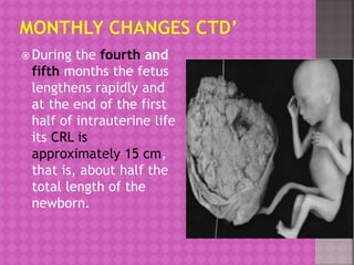 FETAL_PERIOD_AND_MEMBRANES(ANATOMY).pptx
