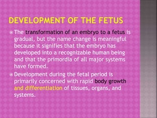 FETAL_PERIOD_AND_MEMBRANES(ANATOMY).pptx