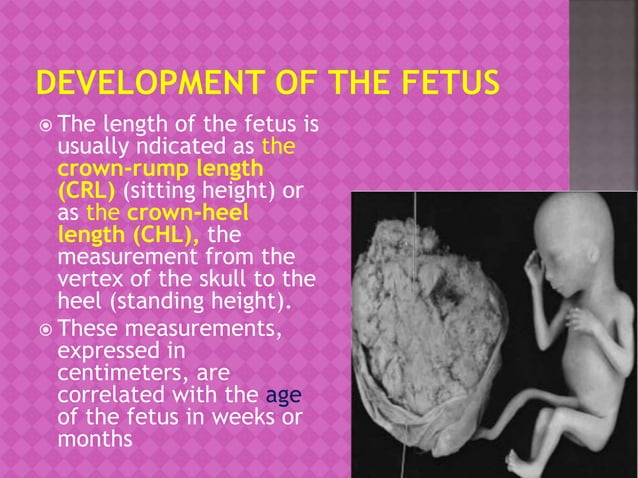 FETAL_PERIOD_AND_MEMBRANES(ANATOMY).pptx