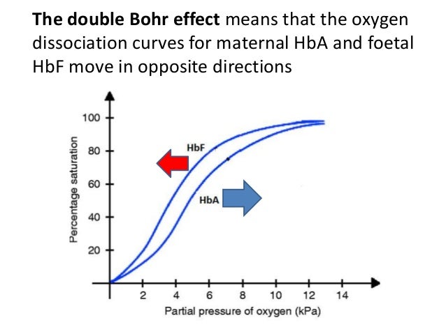 Fetal physio - anakandy