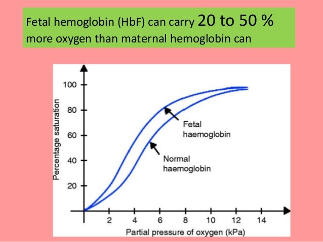 Fetal physio - anakandy