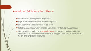 FETAL PHYSIOLOGY AND PHYSIOLOGICAL TRANSITION AT BIRTH.pptx