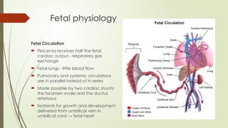 FETAL PHYSIOLOGY AND PHYSIOLOGICAL TRANSITION AT BIRTH.pptx