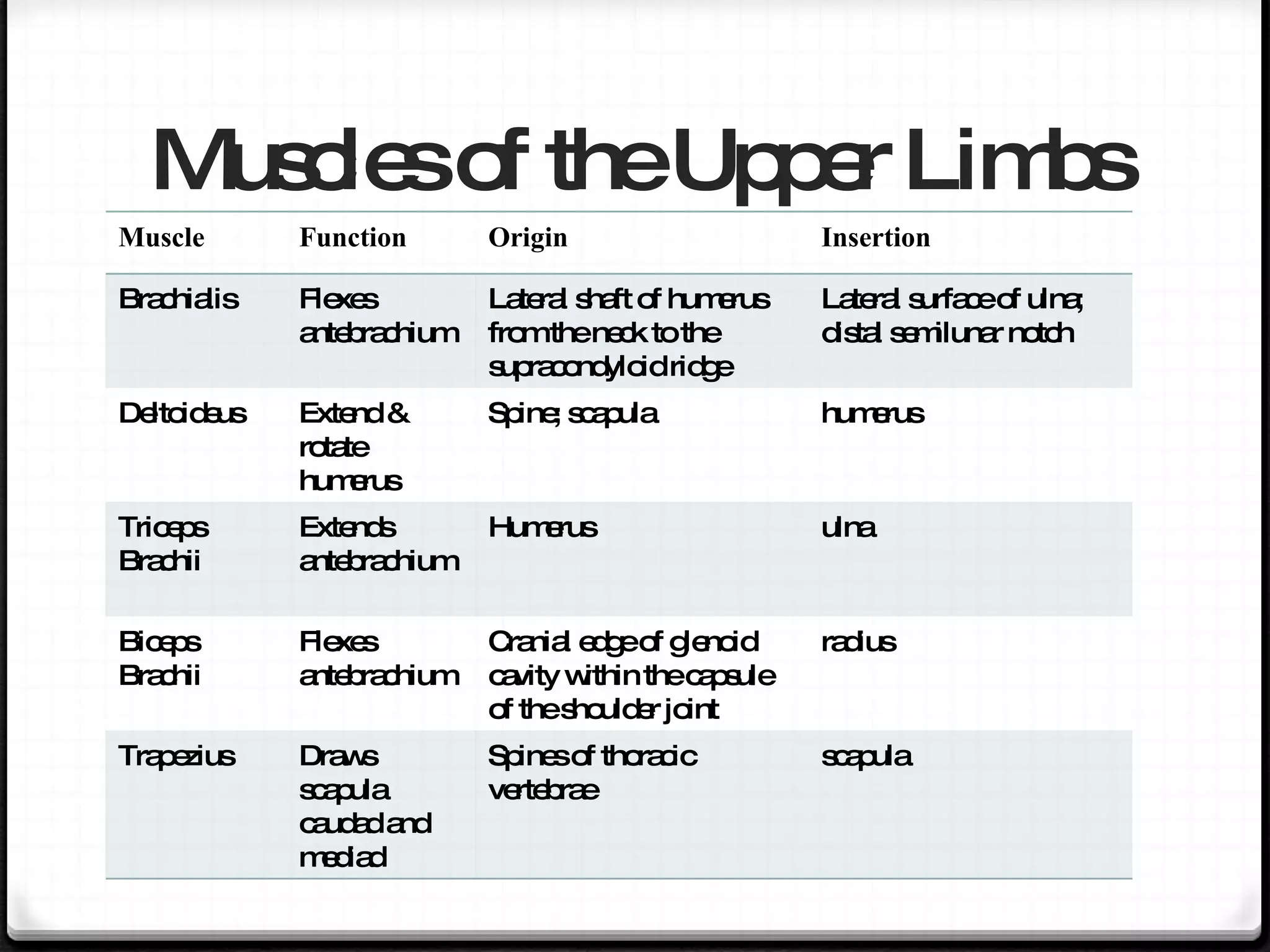 Fetal pig dissection | PPT