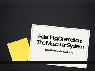 Fetal pig dissection | PPT