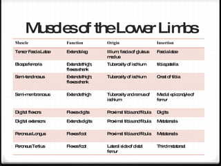 Fetal pig dissection | PPT