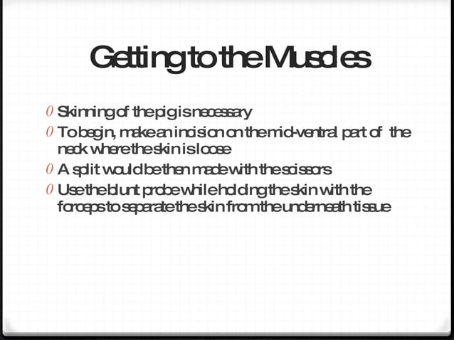 Fetal pig dissection | PPT