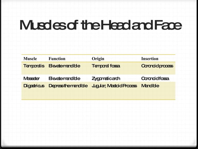 Fetal pig dissection | PPT