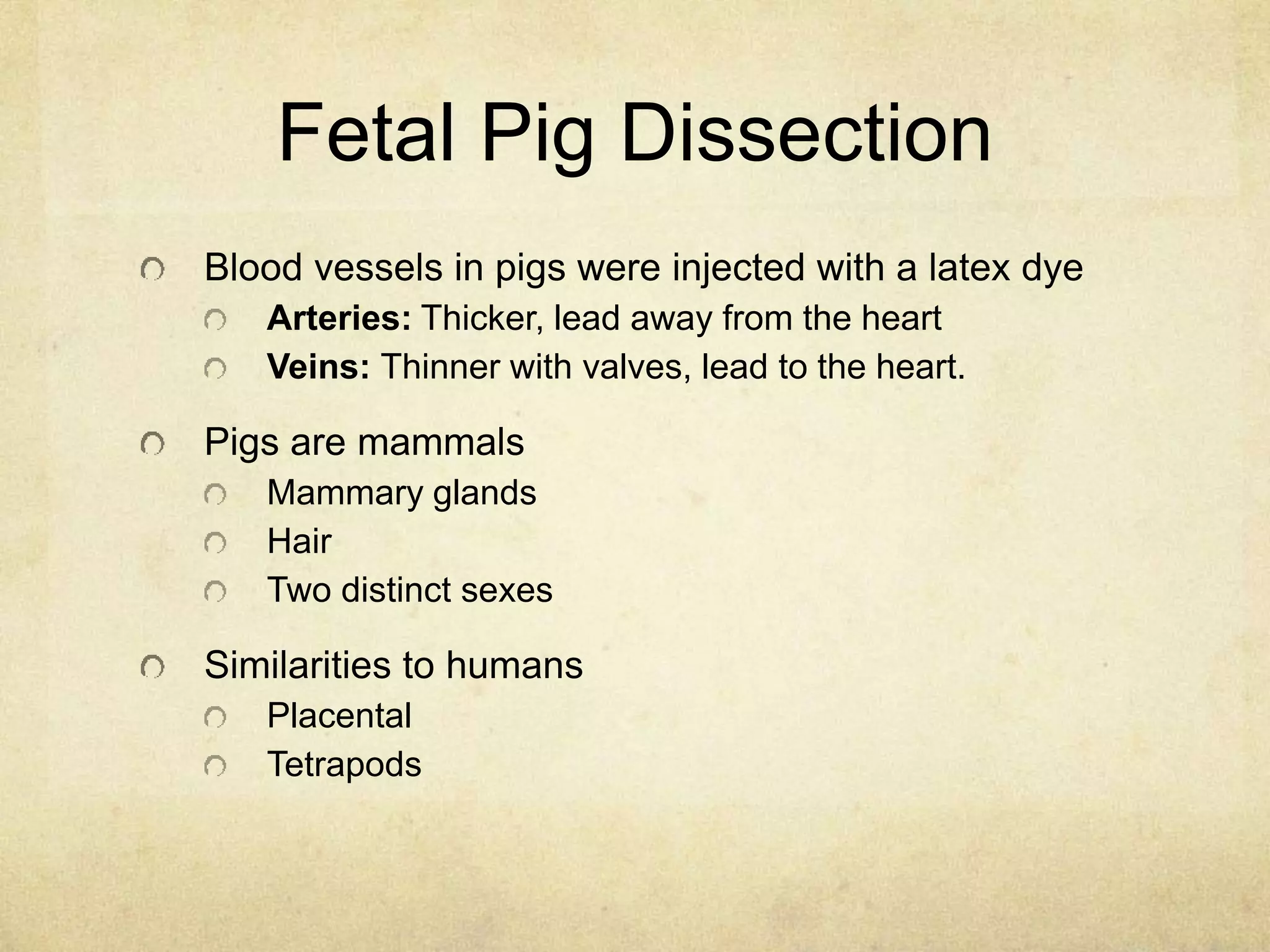 Fetal Pig Dissection | PPTX