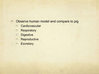 Fetal Pig Dissection | PPT