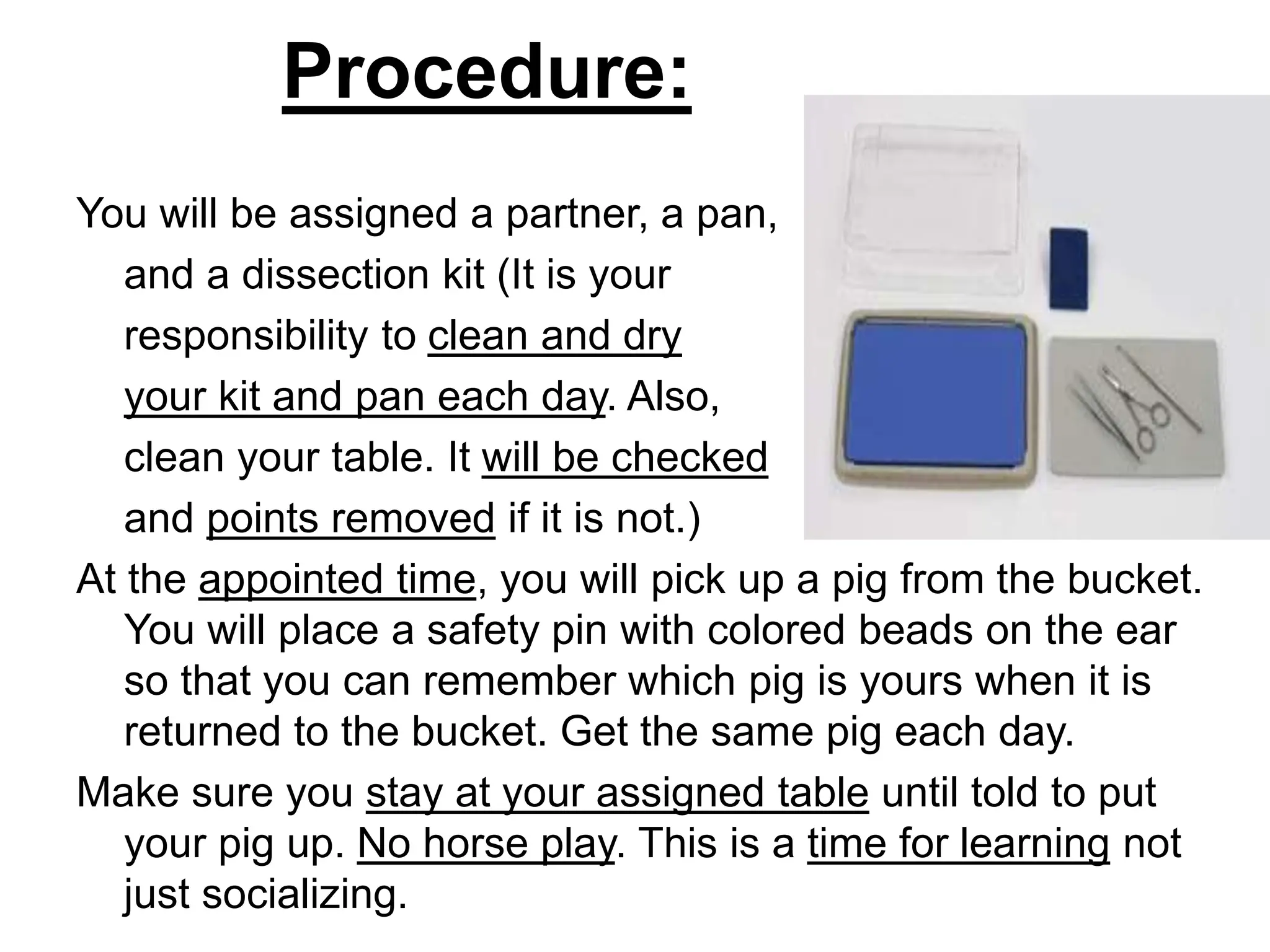 Fetal Pig Dissection 2024 For Honors Biology | PPT