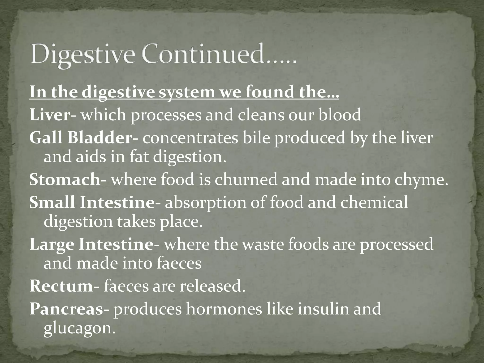 Fetal Pig Dissection Lab | PPTX