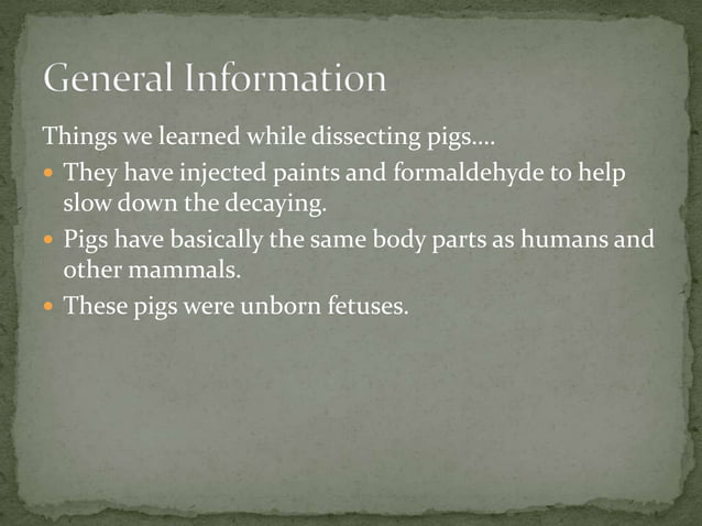 Fetal Pig Dissection Lab | PPTX | Pregnancy | Reproductive Health