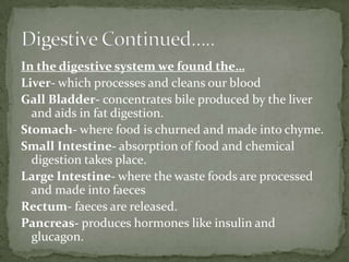 Fetal Pig Dissection Lab | PPTX