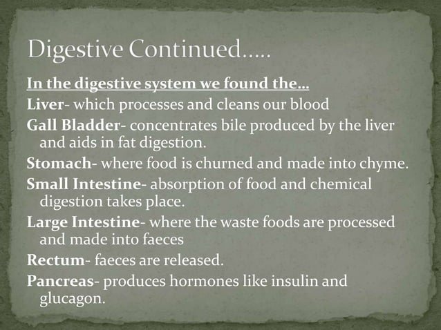 Fetal Pig Dissection Lab | PPTX | Pregnancy | Reproductive Health
