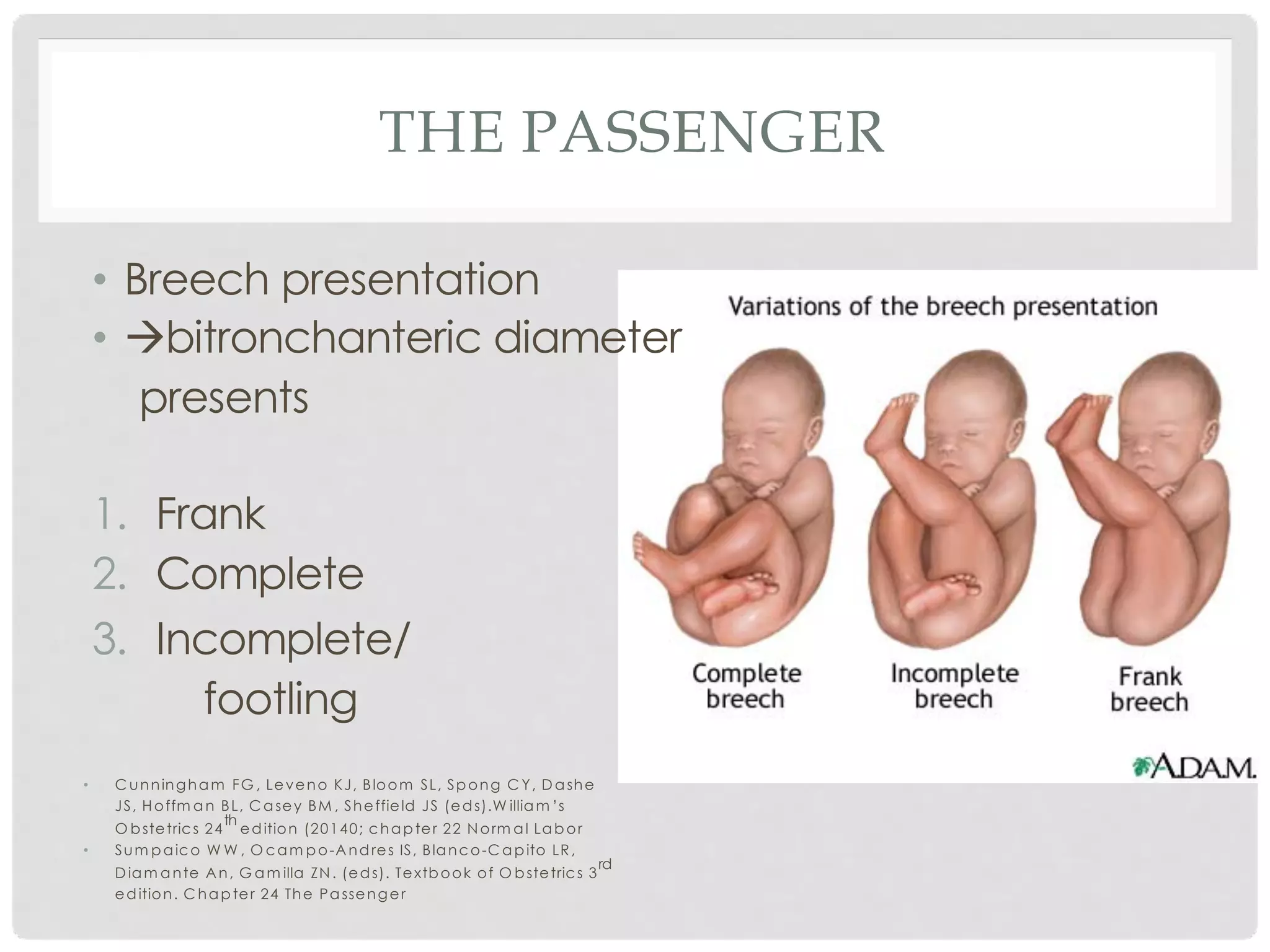 Fetal position | PDF