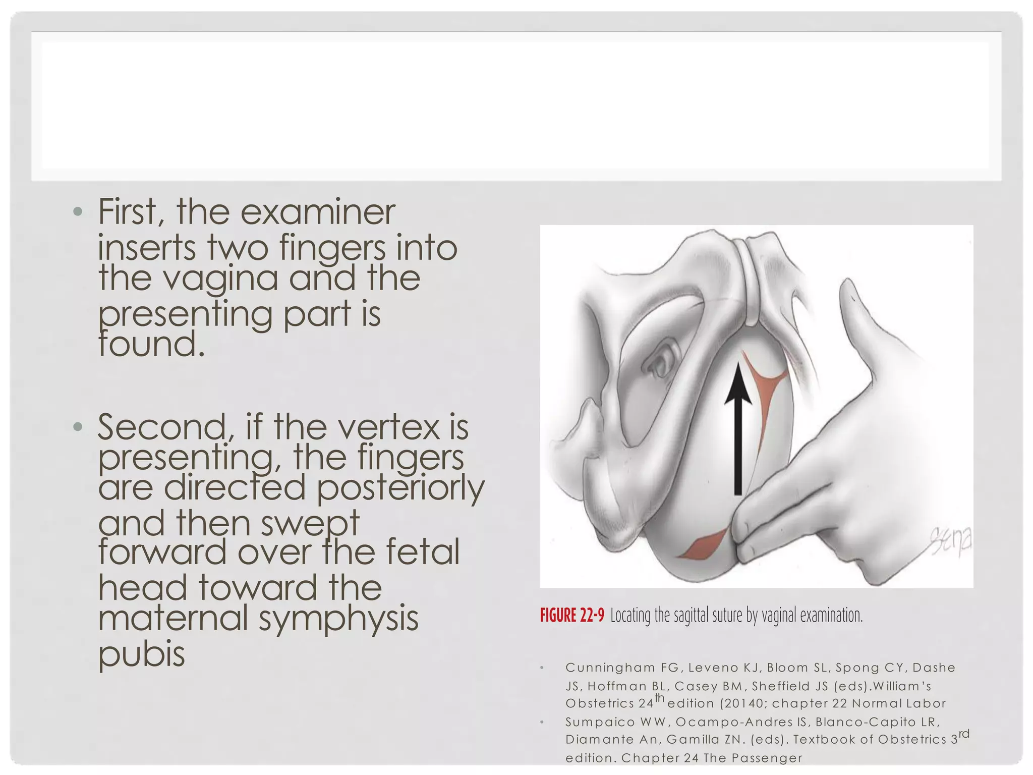 Fetal position | PDF