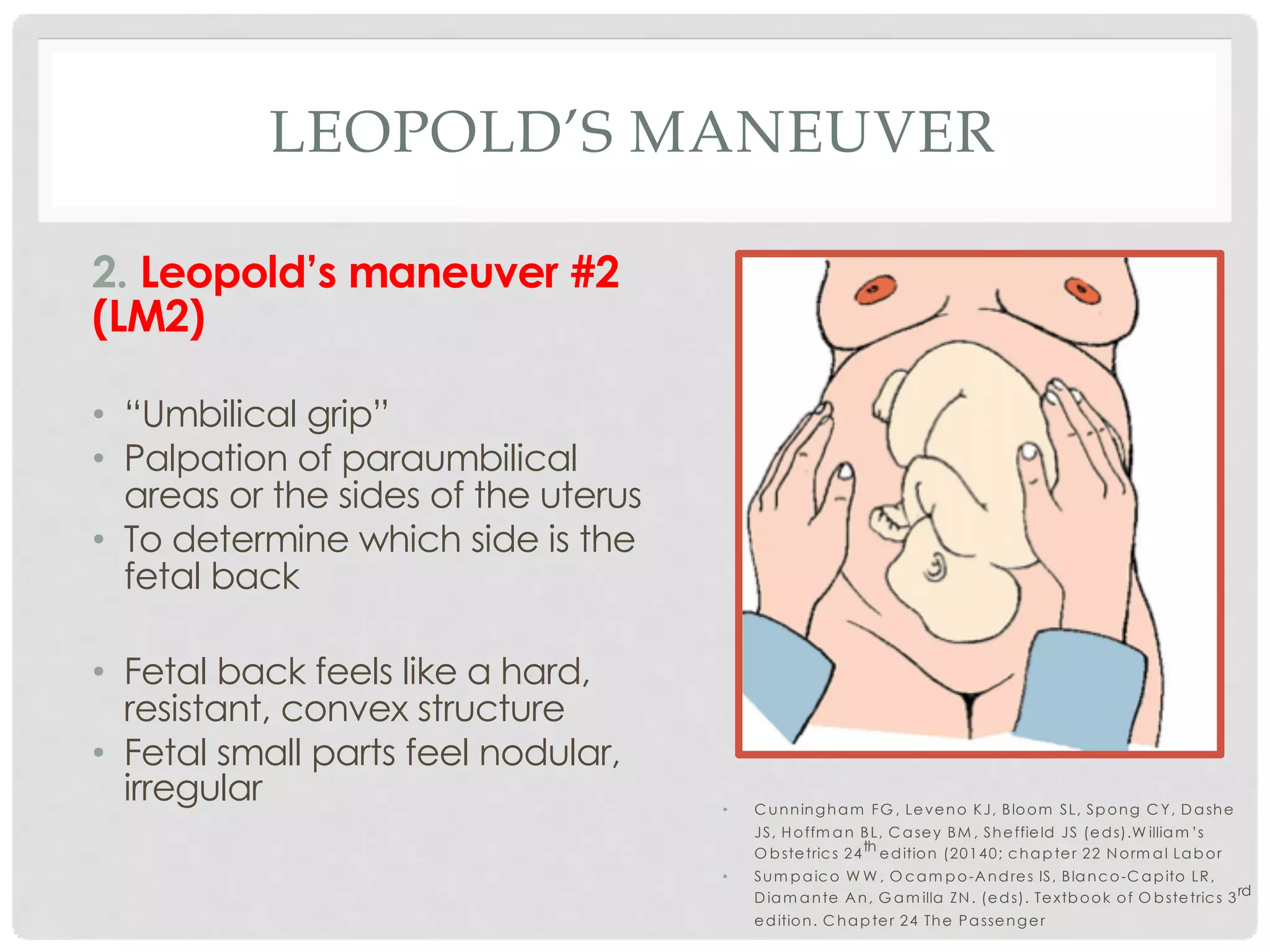 Fetal position | PDF