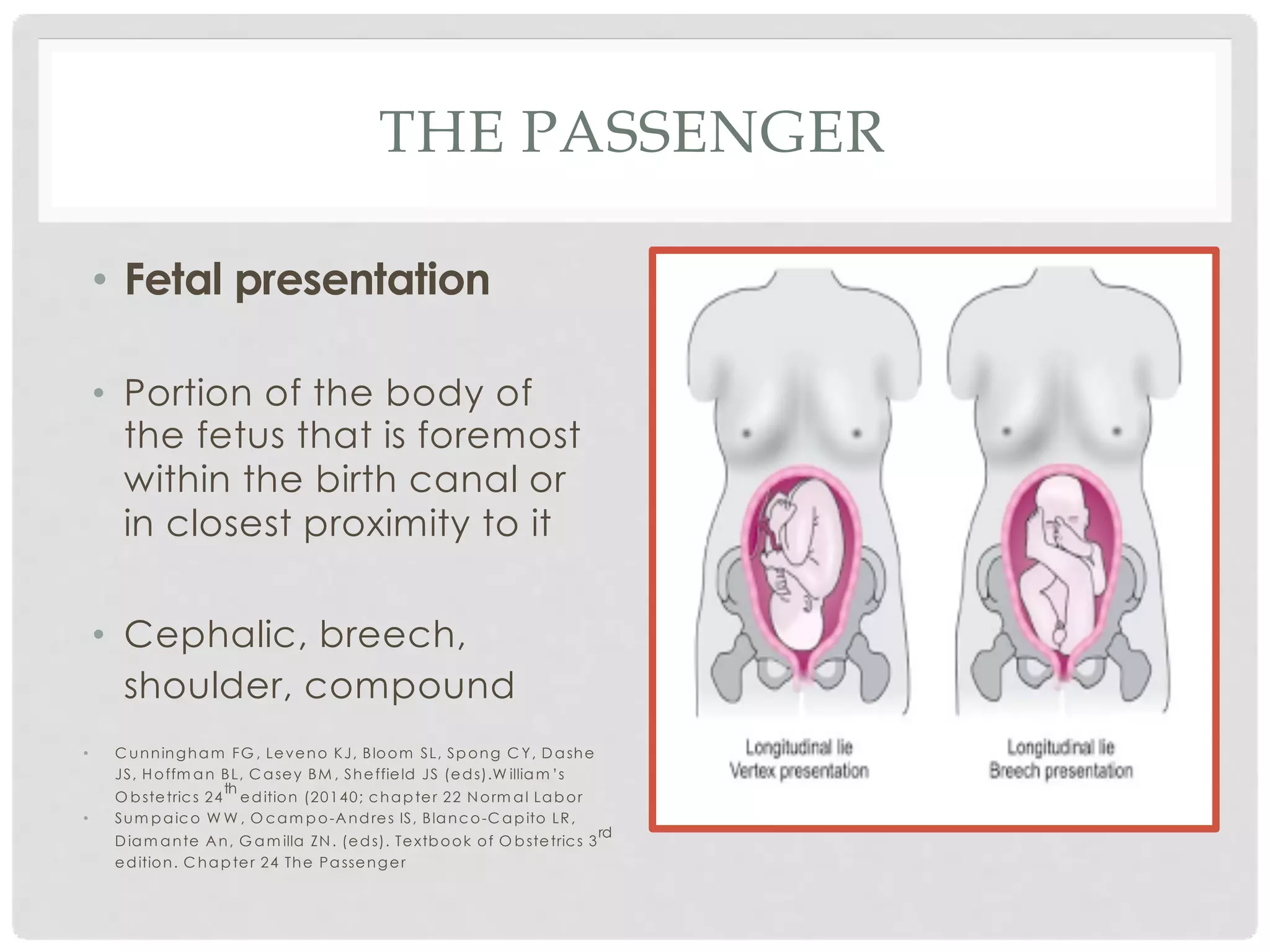 Fetal position | PDF