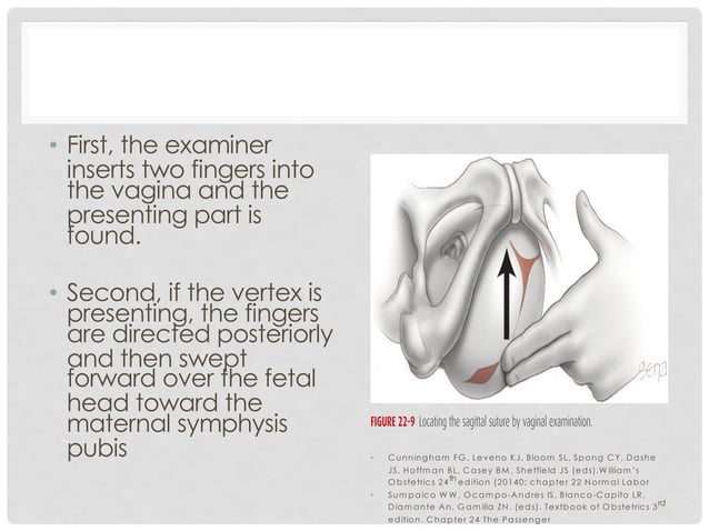 Fetal position | PDF