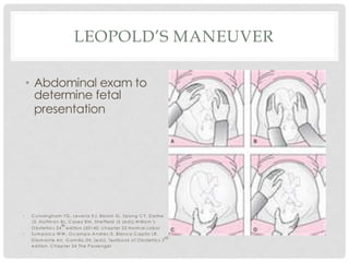 Fetal position | PDF