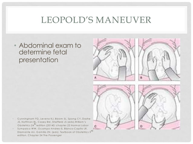 Fetal position | PDF