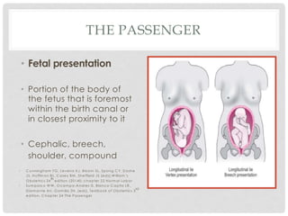 Military Presentation In Labor