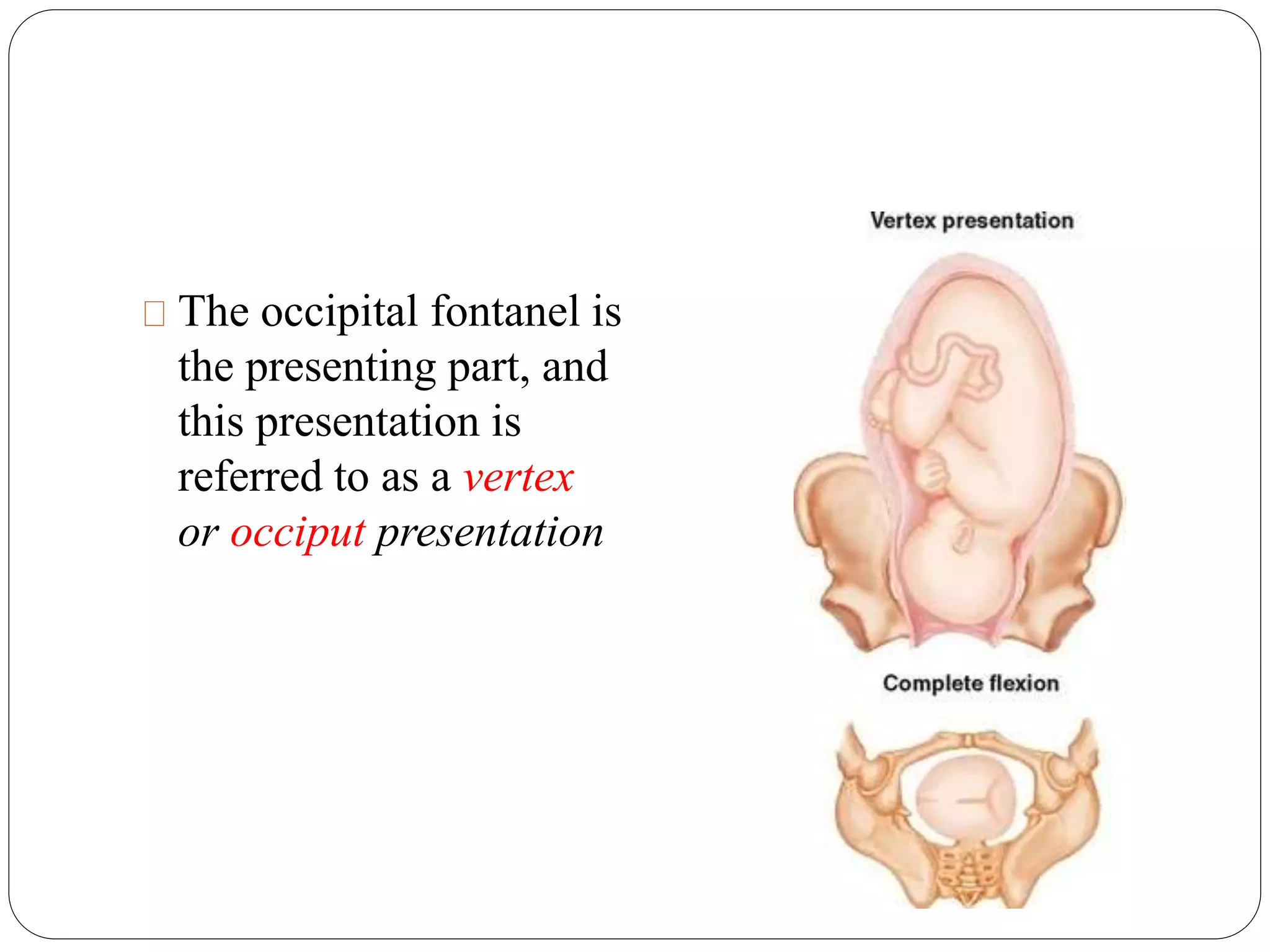 Fetal Presentation | PPTX