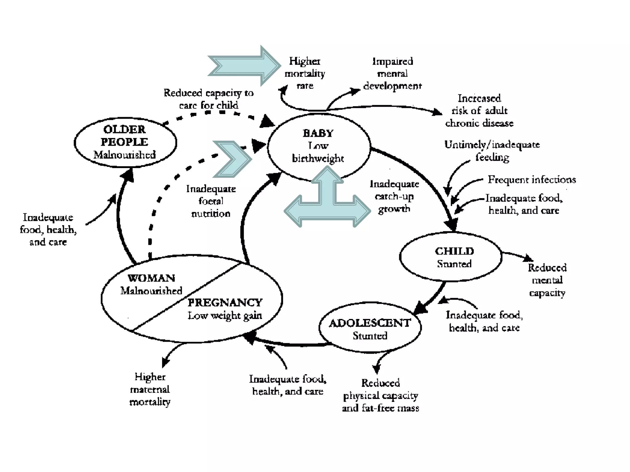 Fetal programming | PPTX