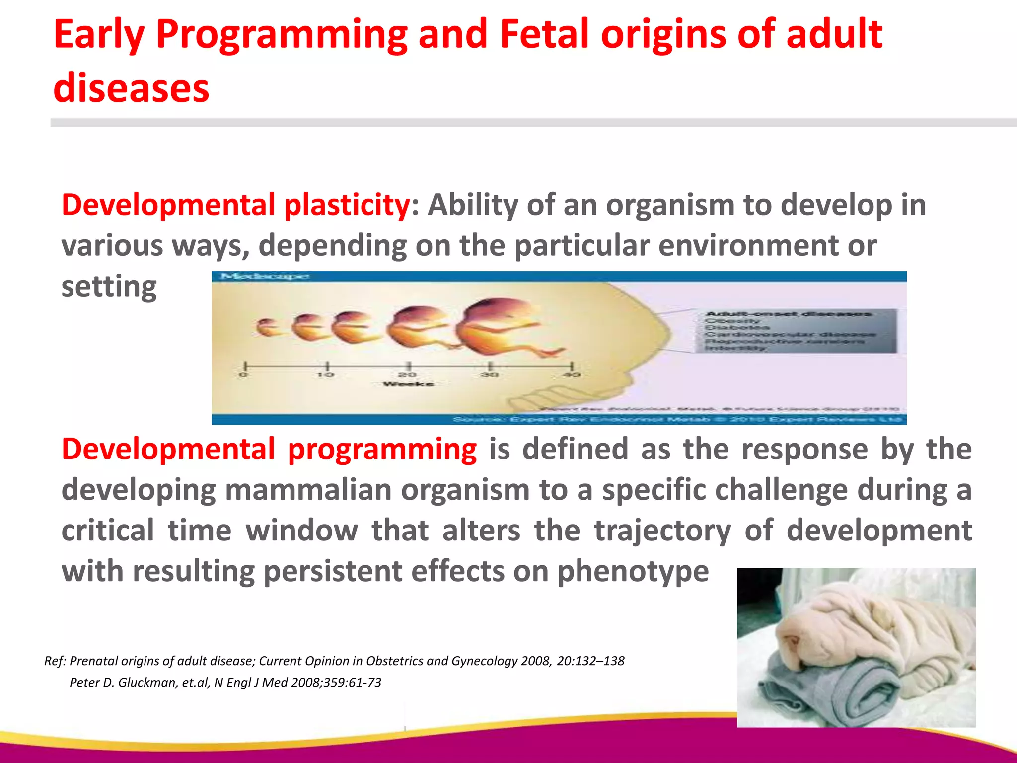Fetal programming | PPTX