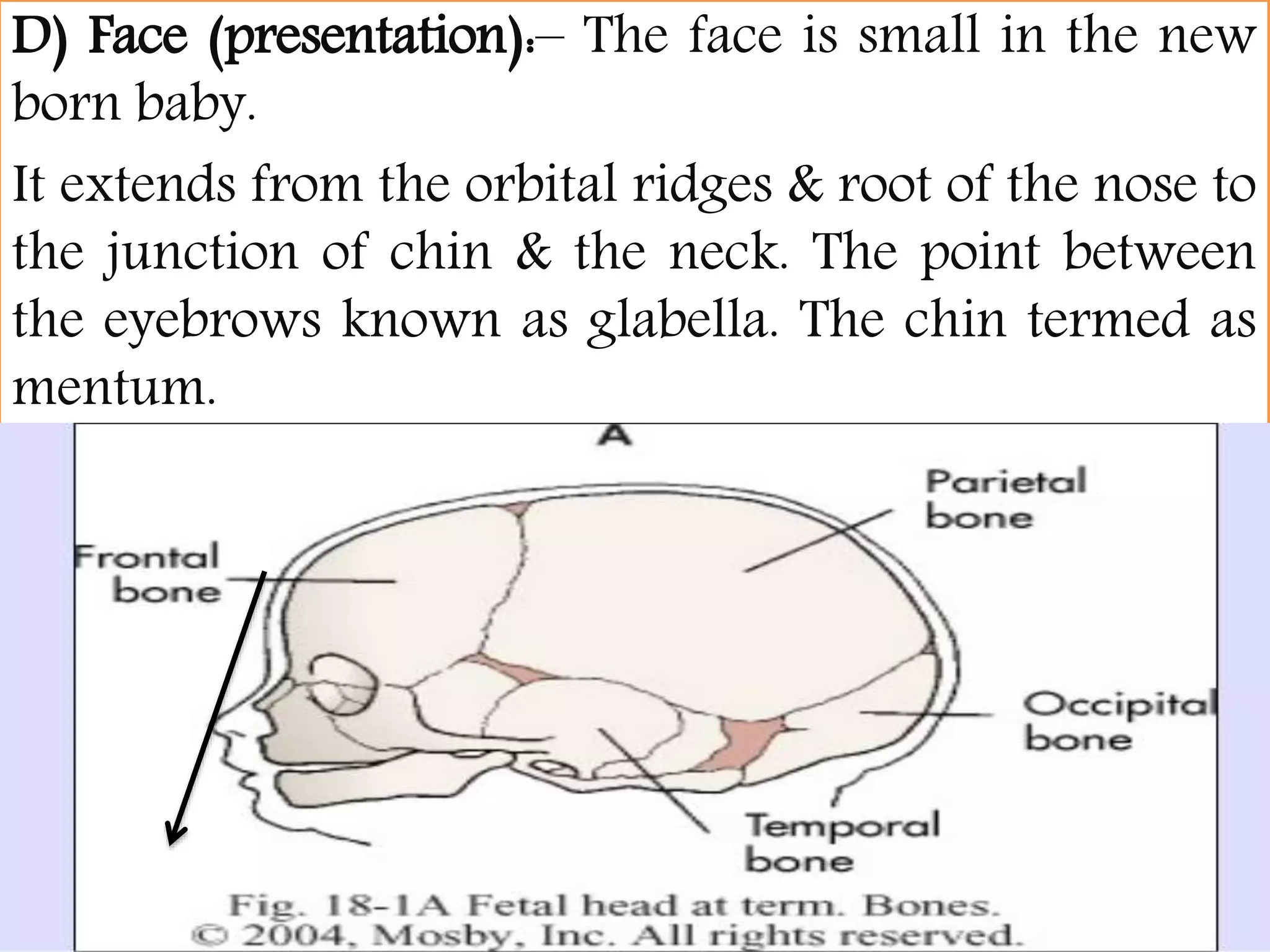 Fetal skull | PPTX