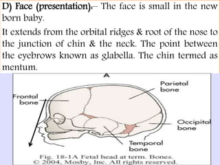 Fetal skull | PPTX | Pregnancy | Reproductive Health