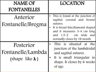 Fetal skull | PPTX | Pregnancy | Reproductive Health