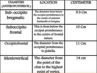 Fetal skull | PPTX | Pregnancy | Reproductive Health