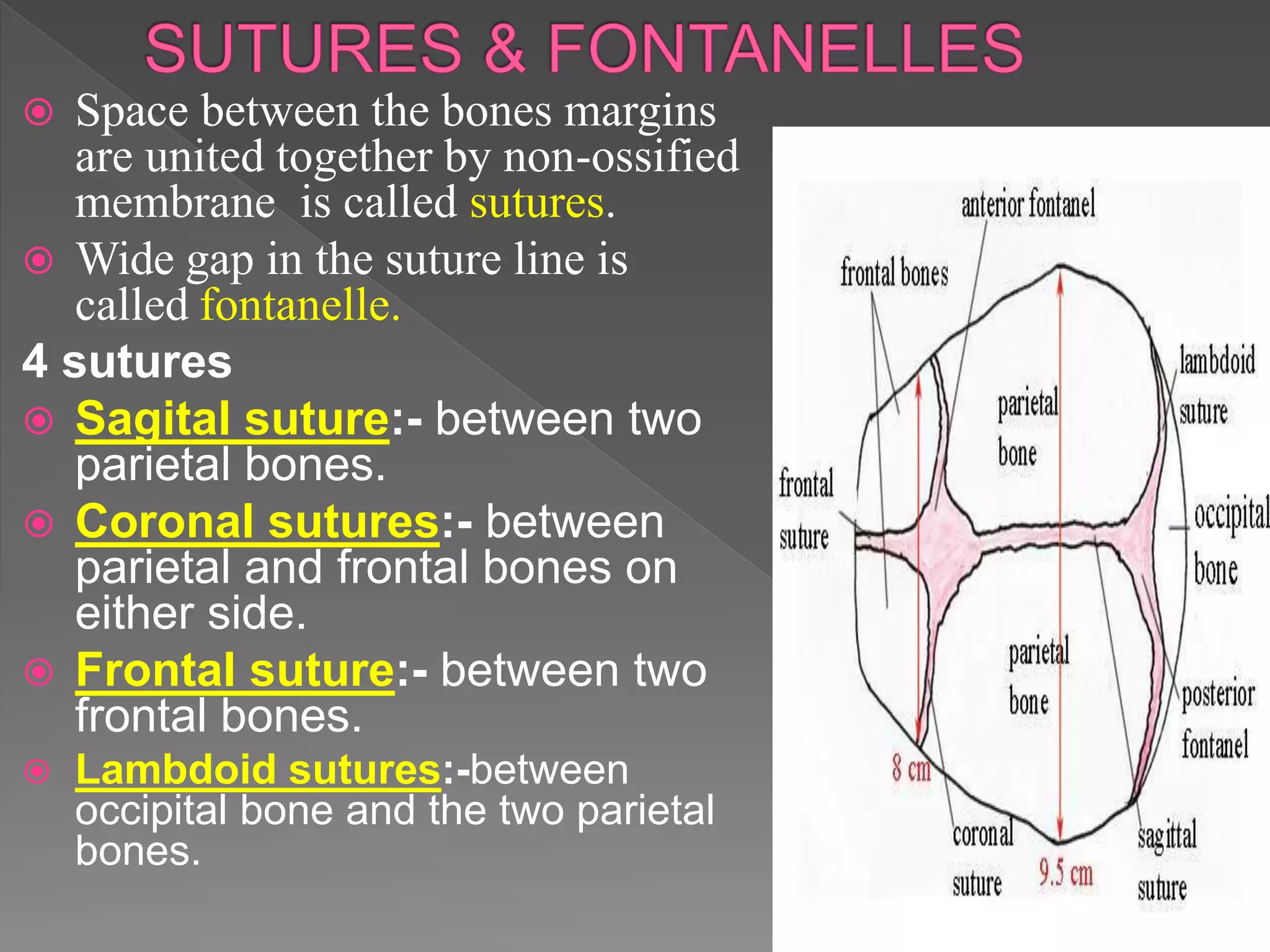Fetal skull | PPTX