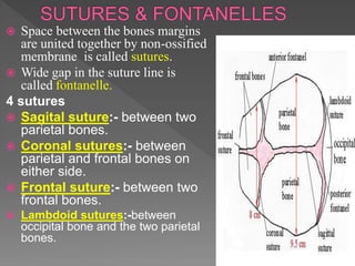 Fetal skull | PPTX