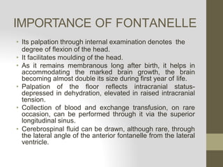 Fetal skull | PDF