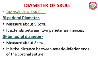 Fetal skull | PPTX