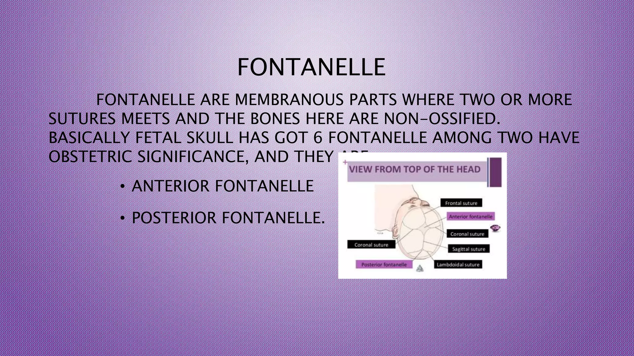 Fetal skull | PPTX