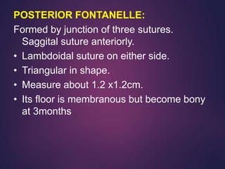 FETAL SKULL.pptx