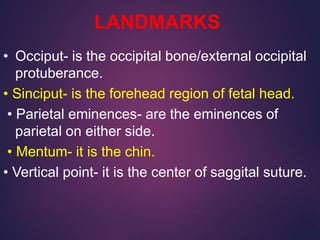 FETAL SKULL.pptx