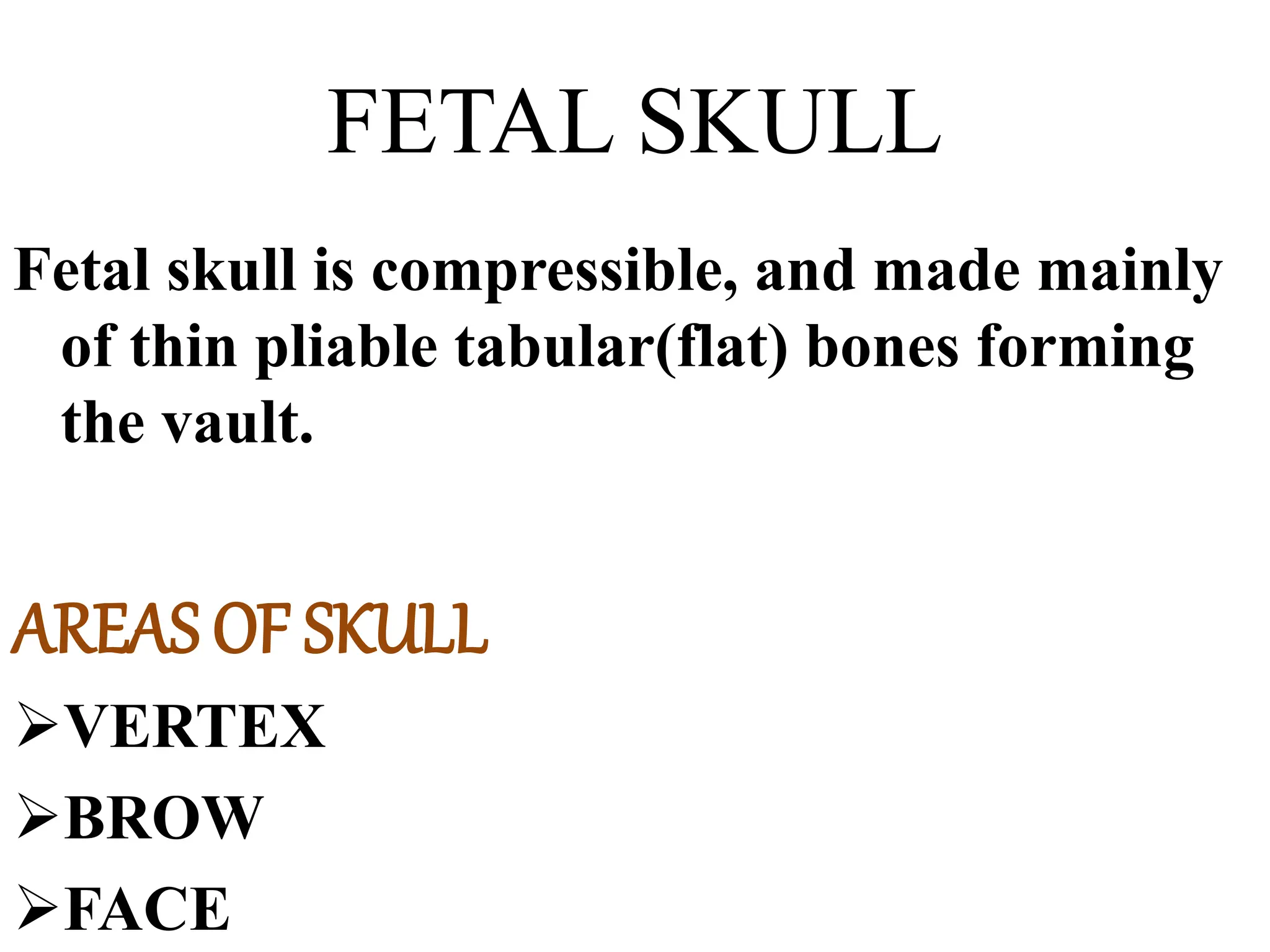 fetal skull.pptx